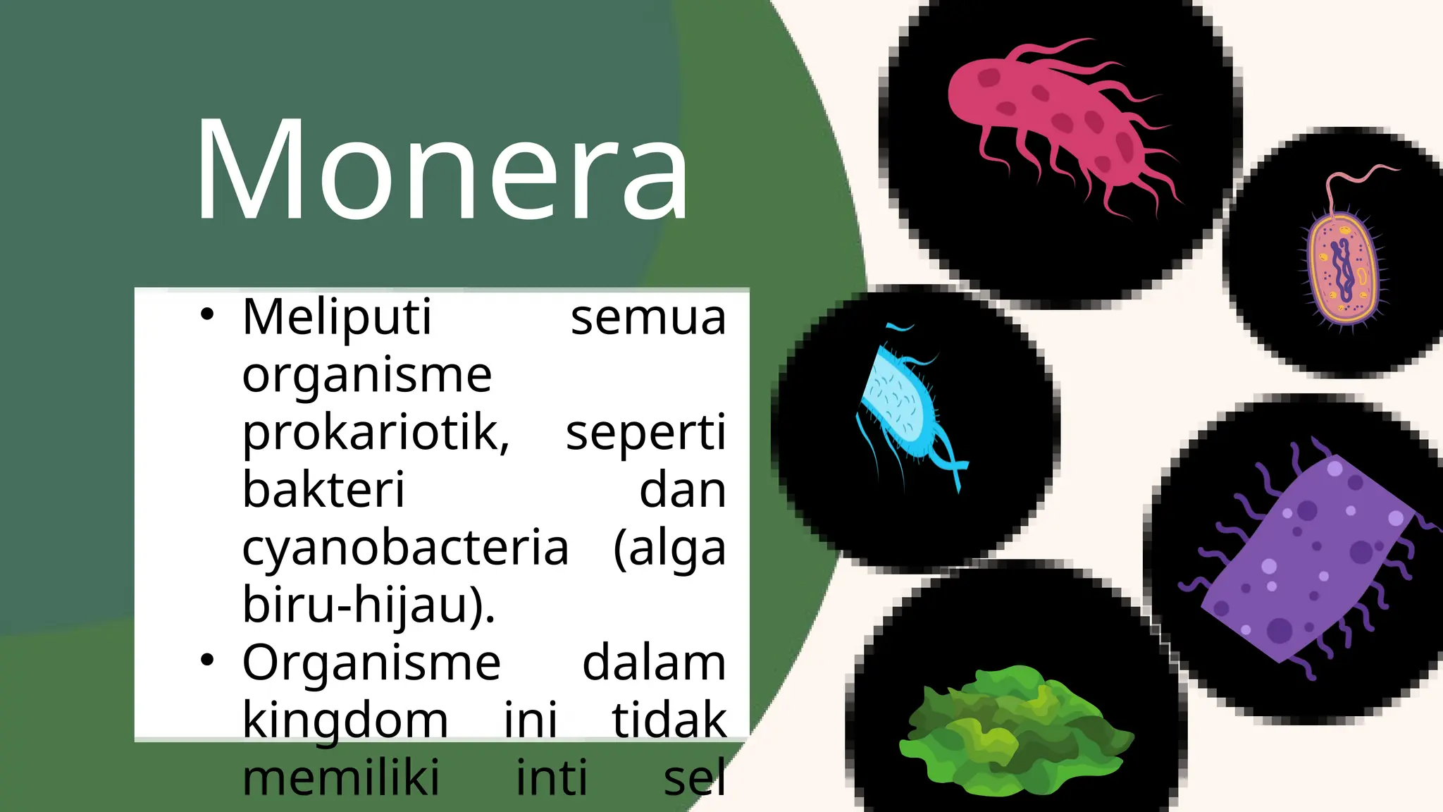 Kalsifikasi Lima Kingdom Biologi SMA.pptx