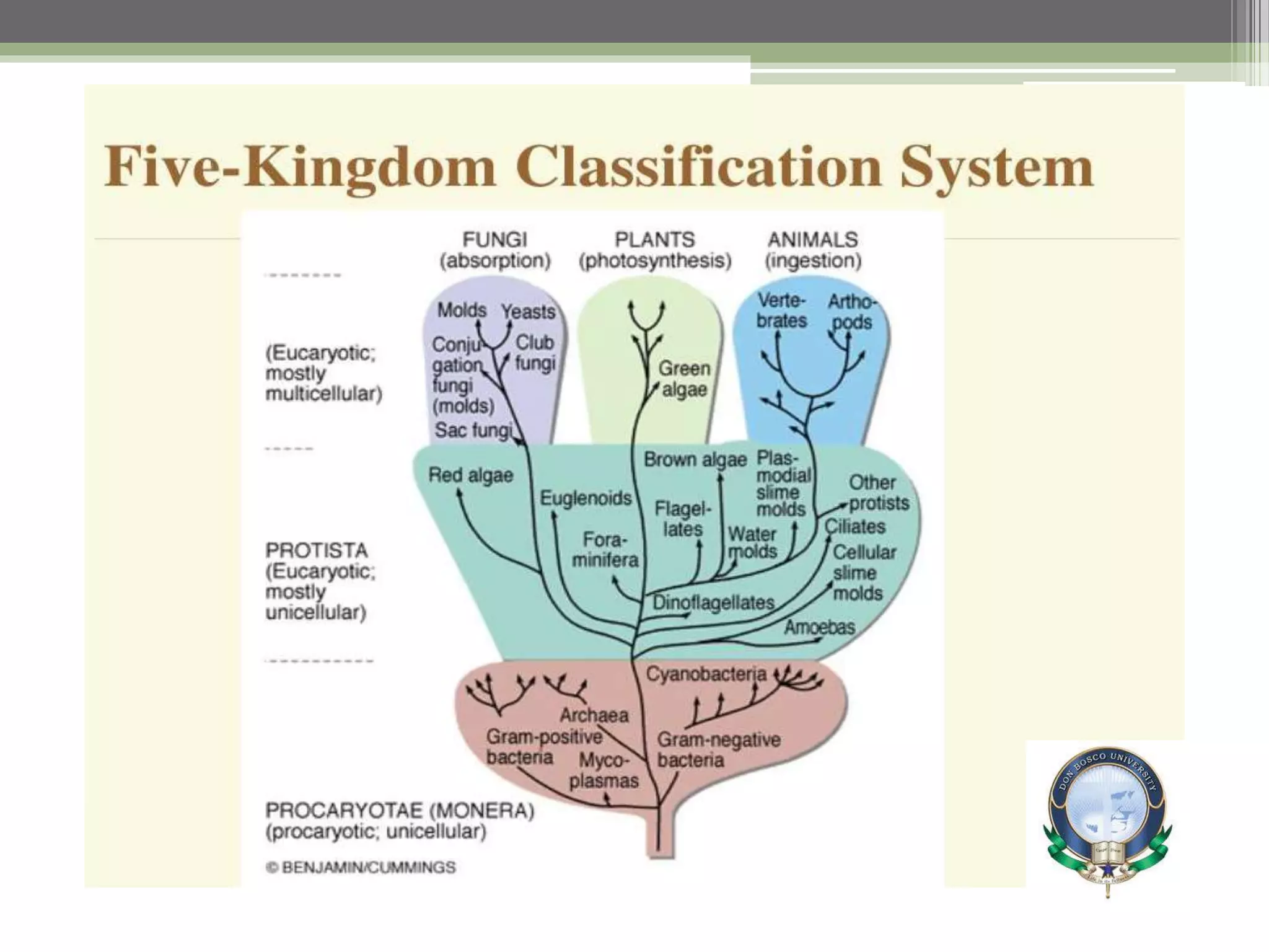 The five kingdom system | PPTX