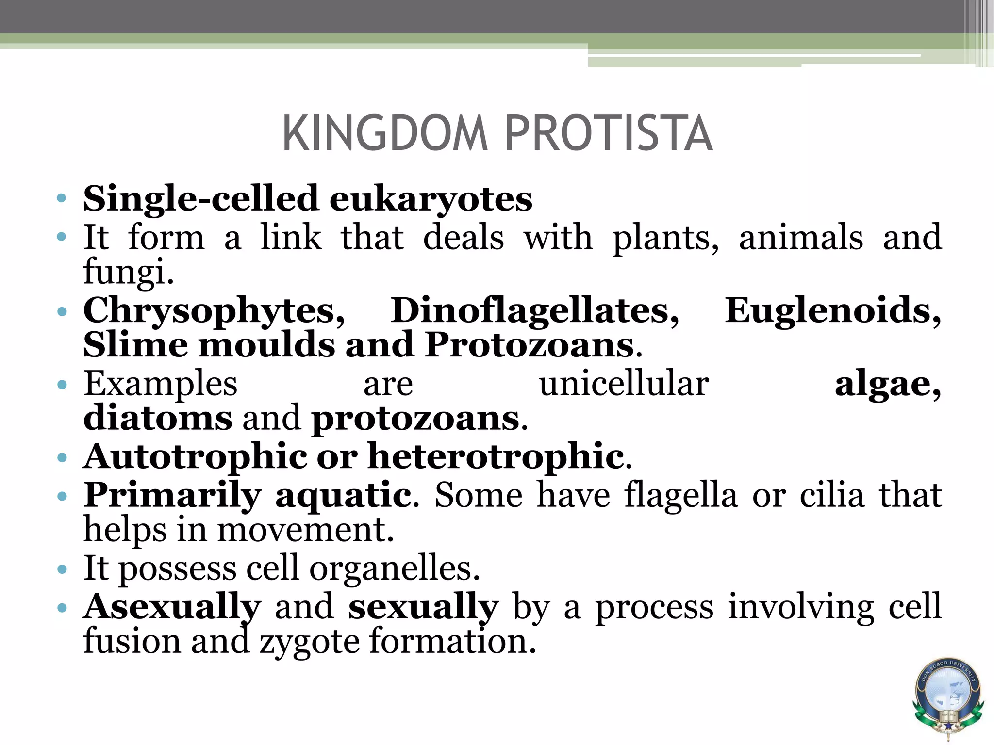 The five kingdom system | PPTX