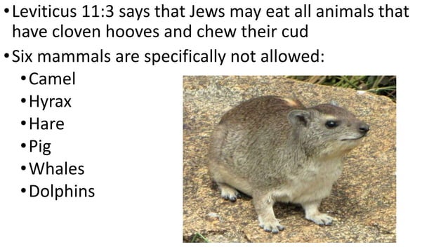 The Five Major Religions of the World | PPTX