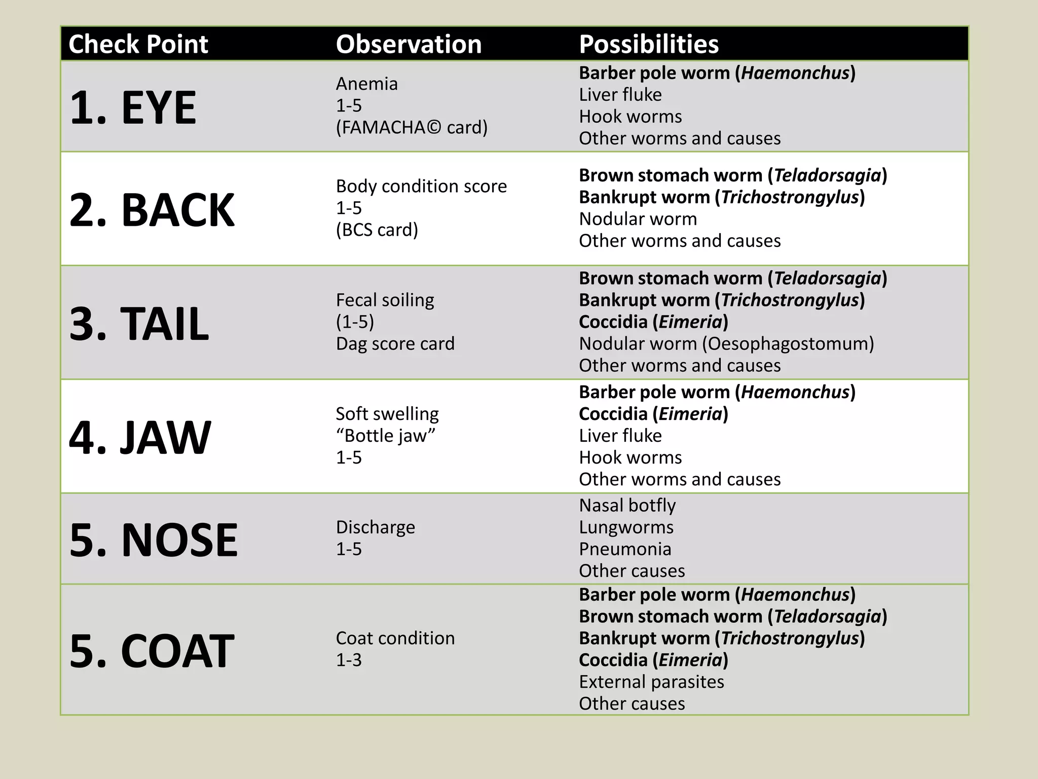 The Five Point Check® | PPTX