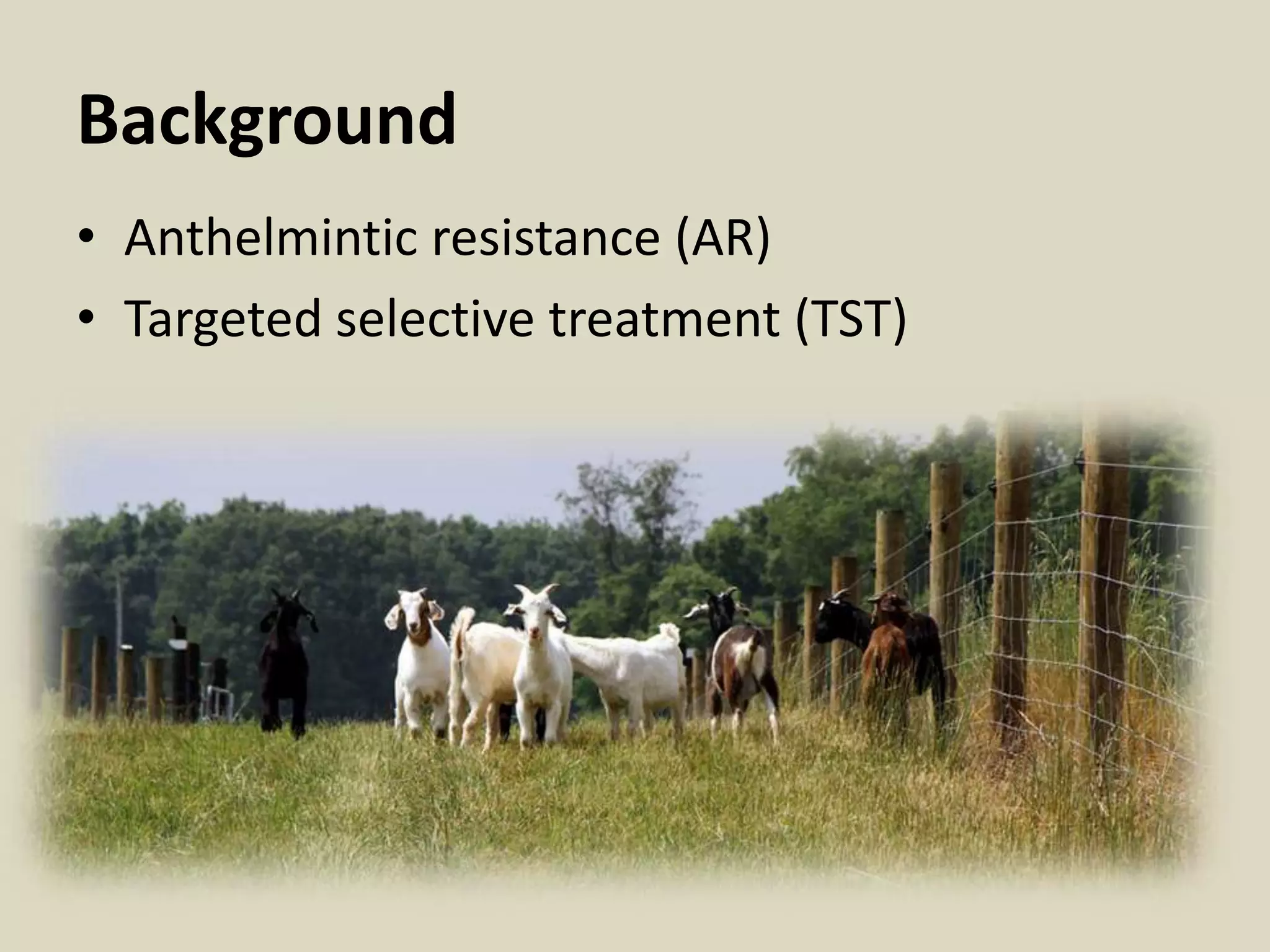 The Five Point Check® | PPTX