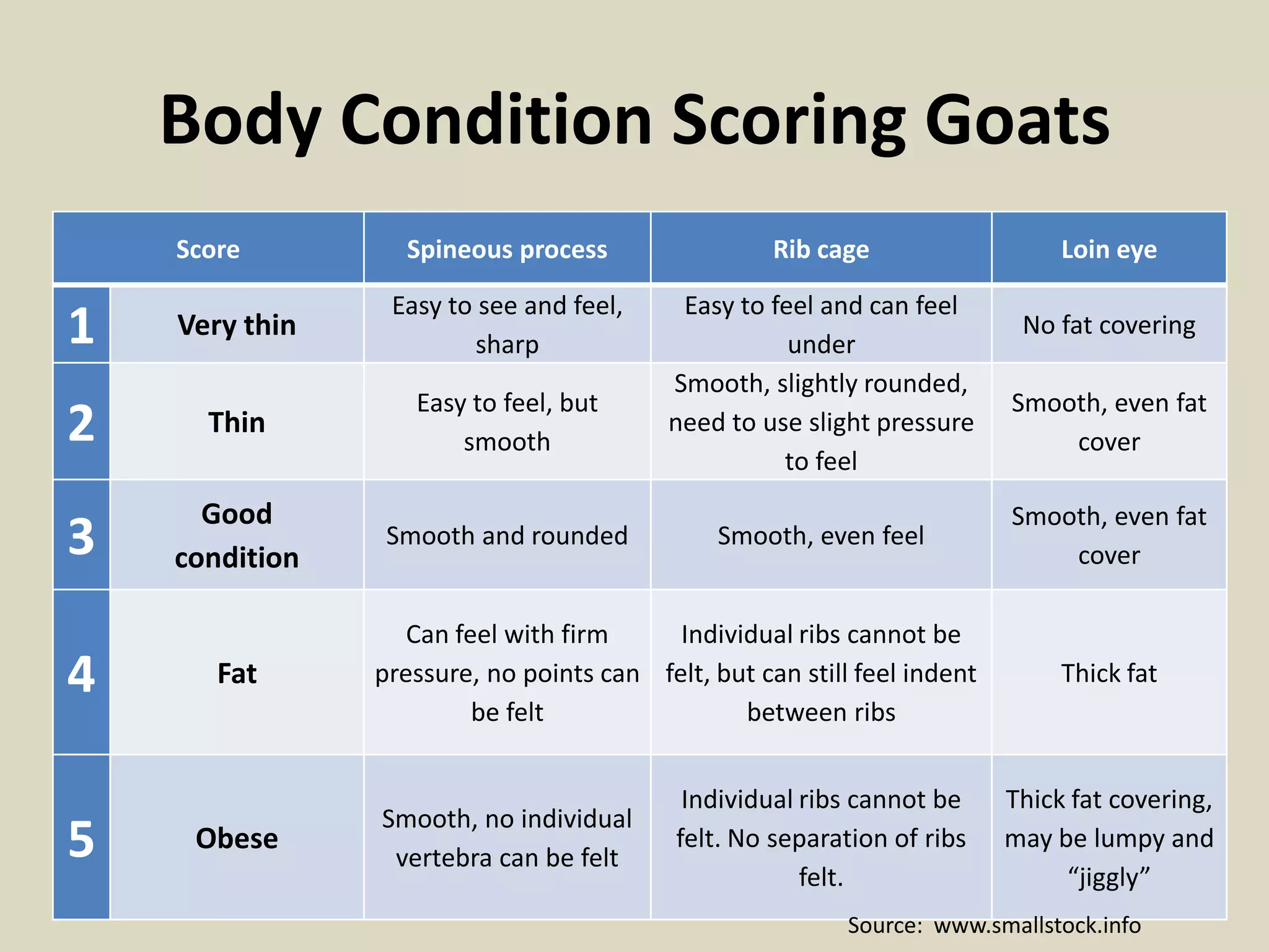 The Five Point Check® | PPTX