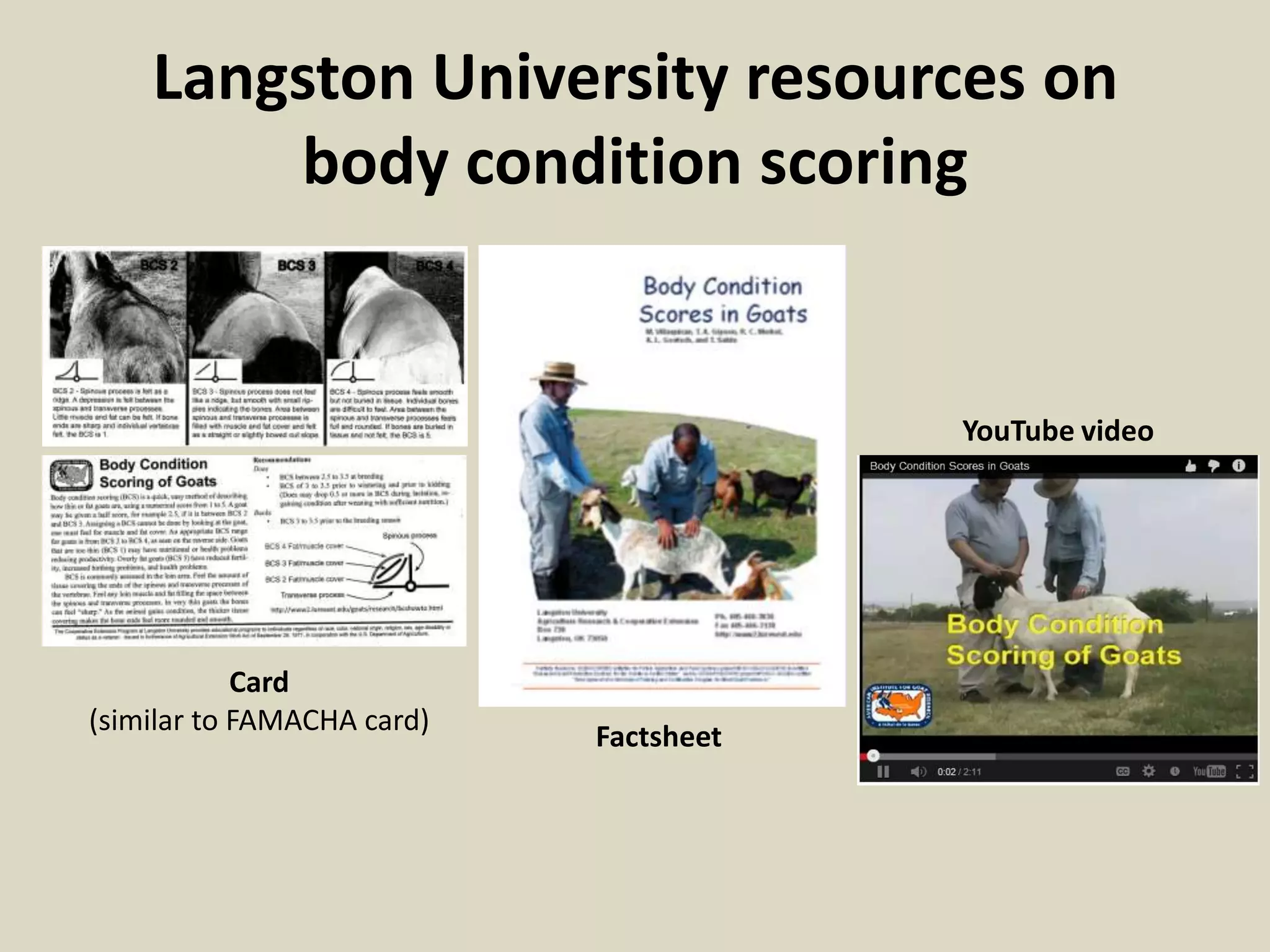 The Five Point Check® | PPTX