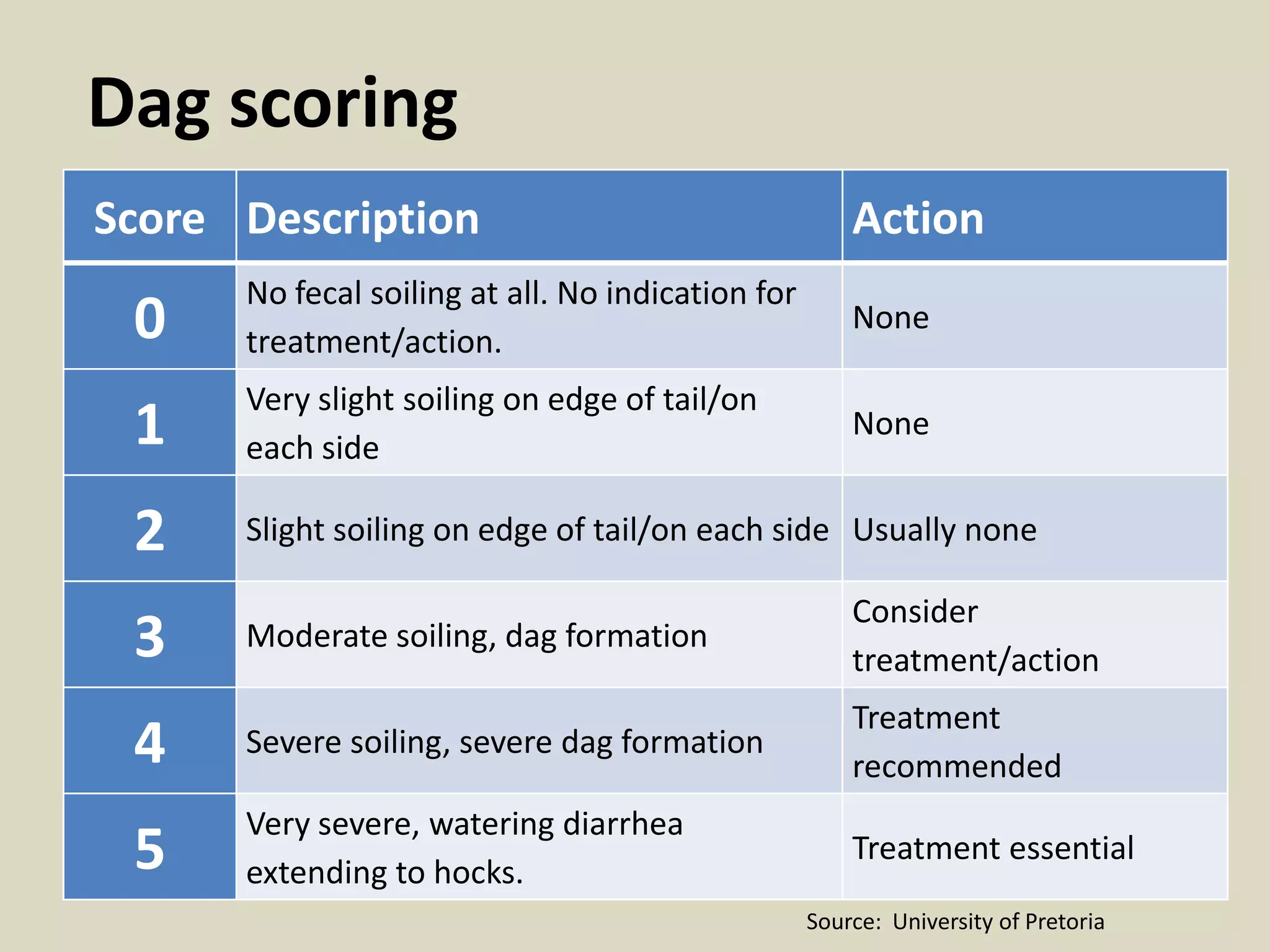 The Five Point Check® | PPTX