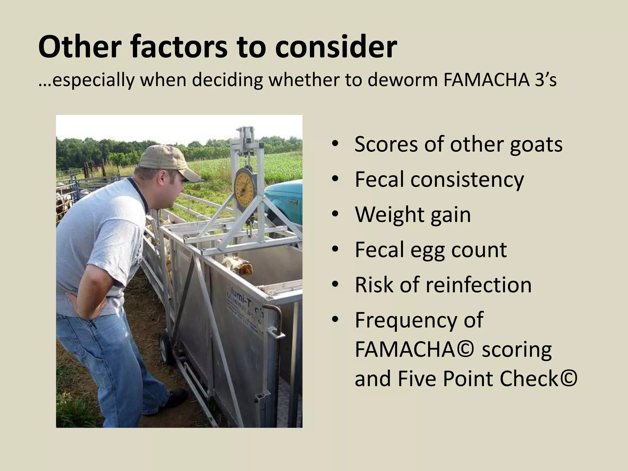 The Five Point Check® | PPTX