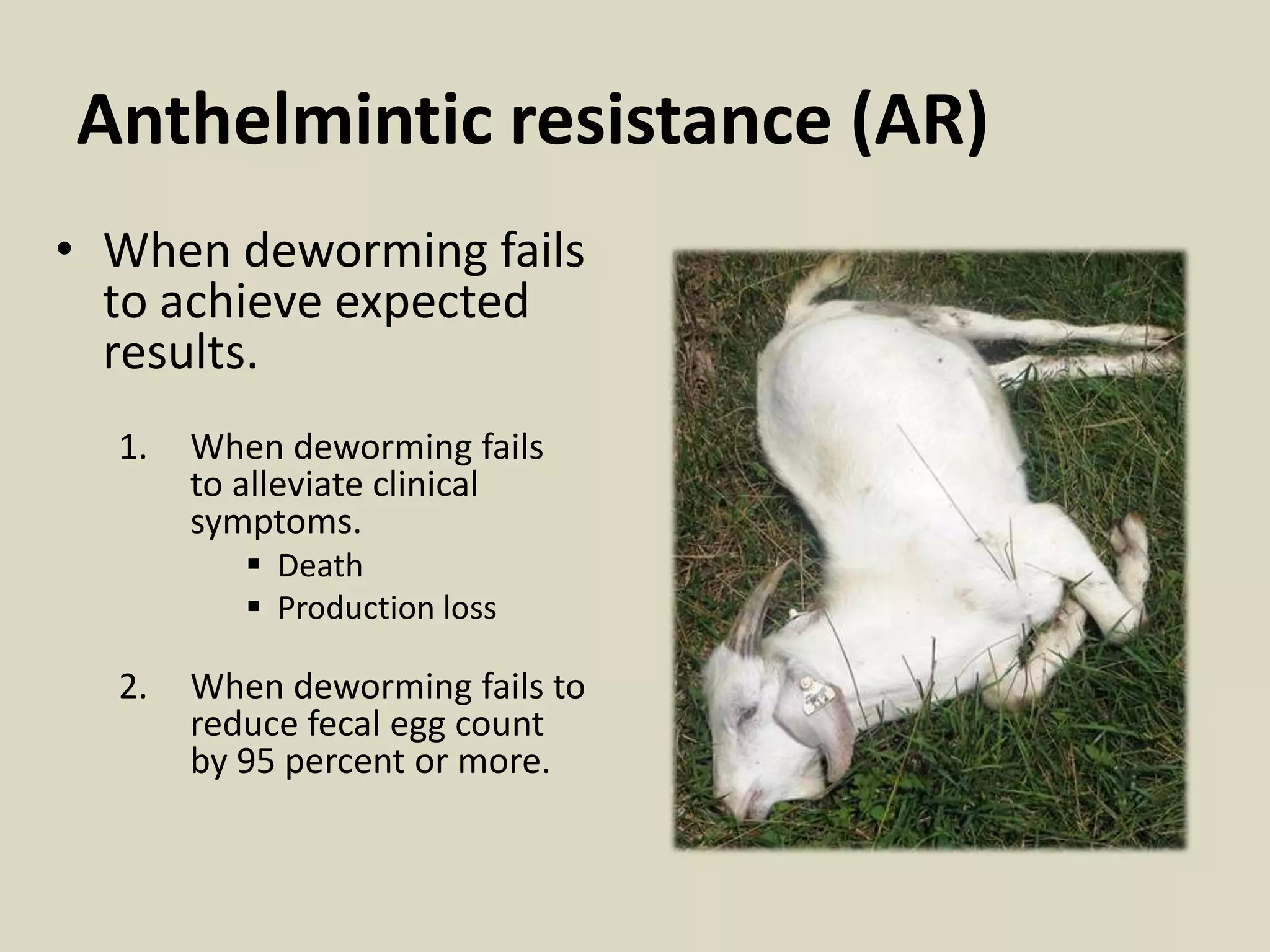 The Five Point Check® | PPTX