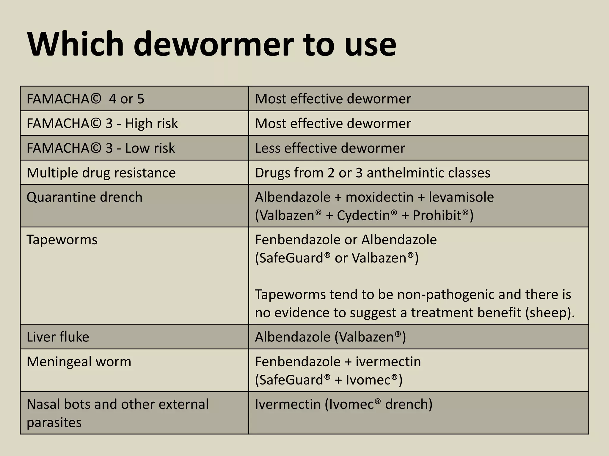 The Five Point Check® | PPTX