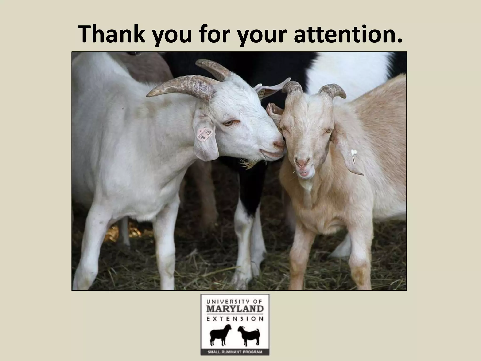 The Five Point Check® | PPTX