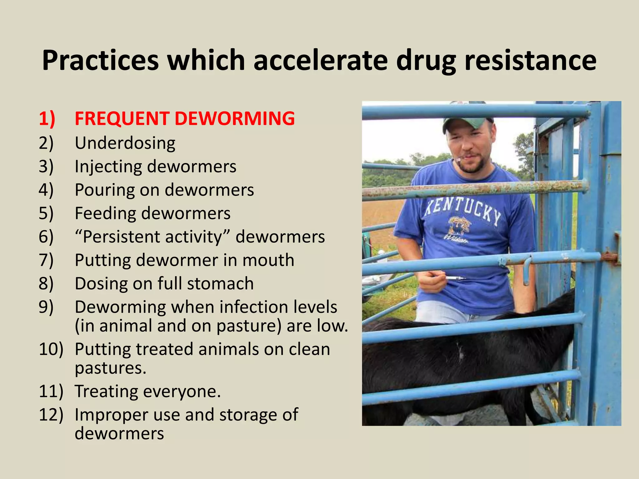 The Five Point Check® | PPTX