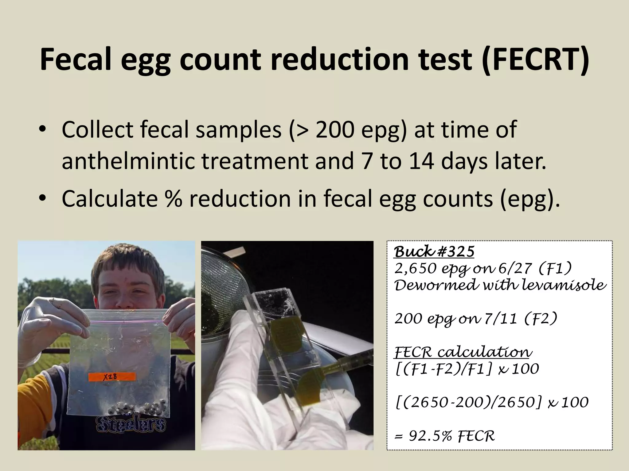 The Five Point Check® | PPTX