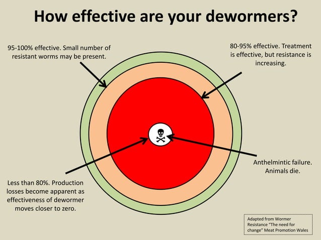 The Five Point Check® | PPTX | Infectious Diseases | Diseases and ...