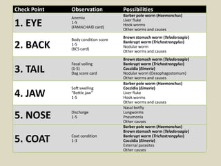 The Five Point Check® | PPTX