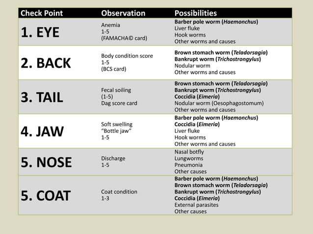 The Five Point Check® | PPTX | Infectious Diseases | Diseases and ...