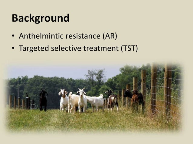 The Five Point Check® | PPTX | Infectious Diseases | Diseases and ...