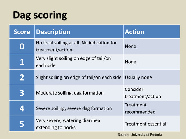The Five Point Check® | PPTX | Infectious Diseases | Diseases and ...