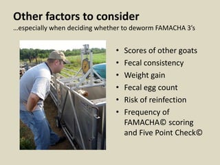 The Five Point Check® | PPTX