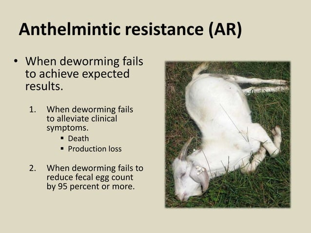 The Five Point Check® | PPTX | Infectious Diseases | Diseases and ...