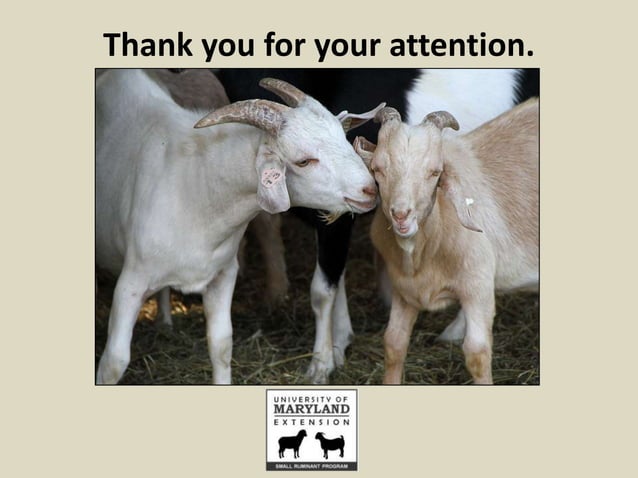 The Five Point Check® | PPTX | Infectious Diseases | Diseases and ...