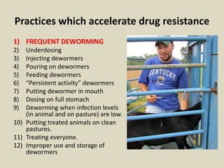 The Five Point Check® | PPTX