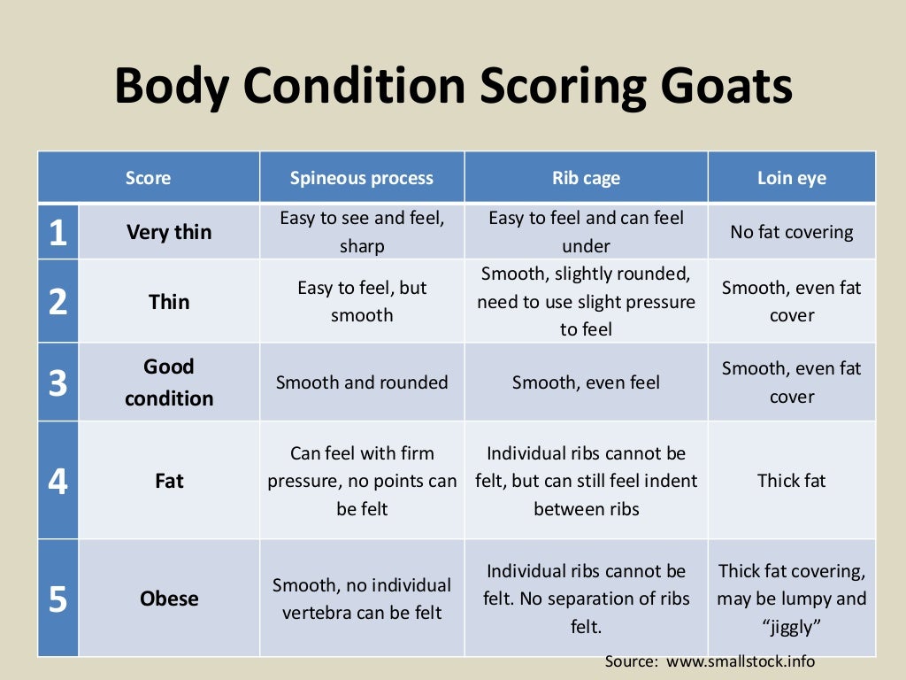 The Five Point Check®