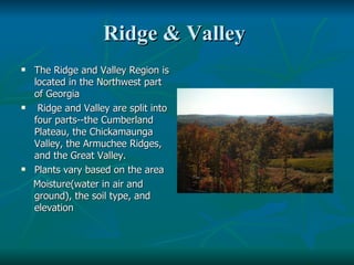 The Five Regions of Georgia | PPT