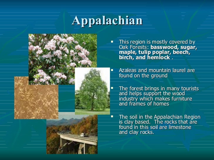 The Five Regions of Georgia