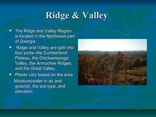 The Five Regions Of Georgia | PPT