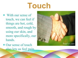 The five senses | PPT | Ear, Nose and Throat Conditions | Diseases and ...