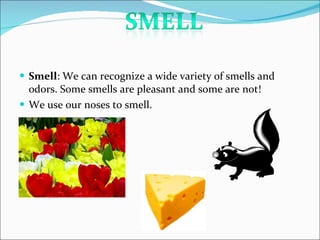 The five senses | PPT