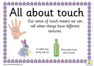 The five senses | PDF