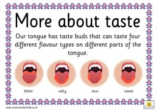 The five senses | PDF