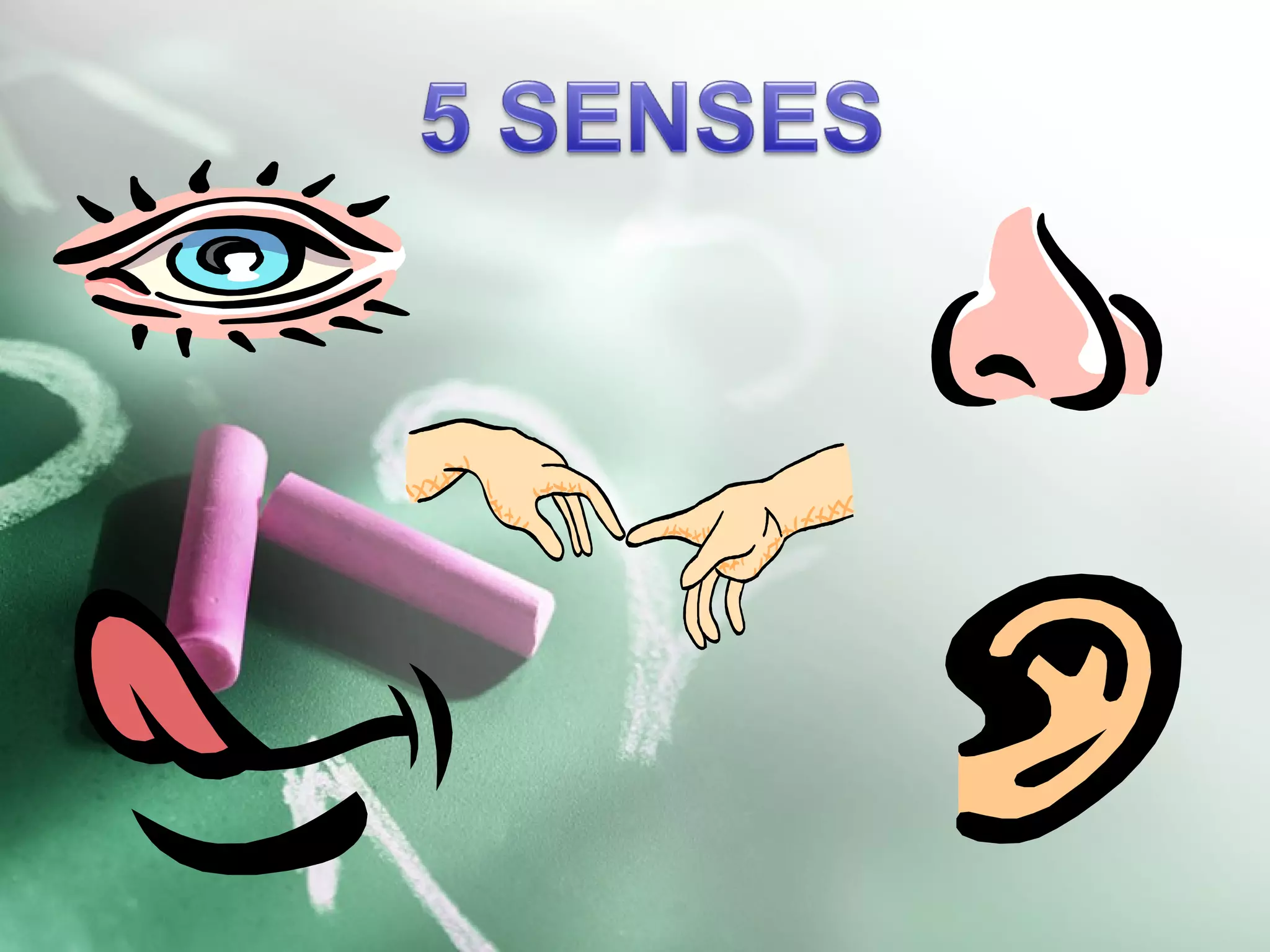 The five Senses | PPT | Perfume and Fragrance | Beauty