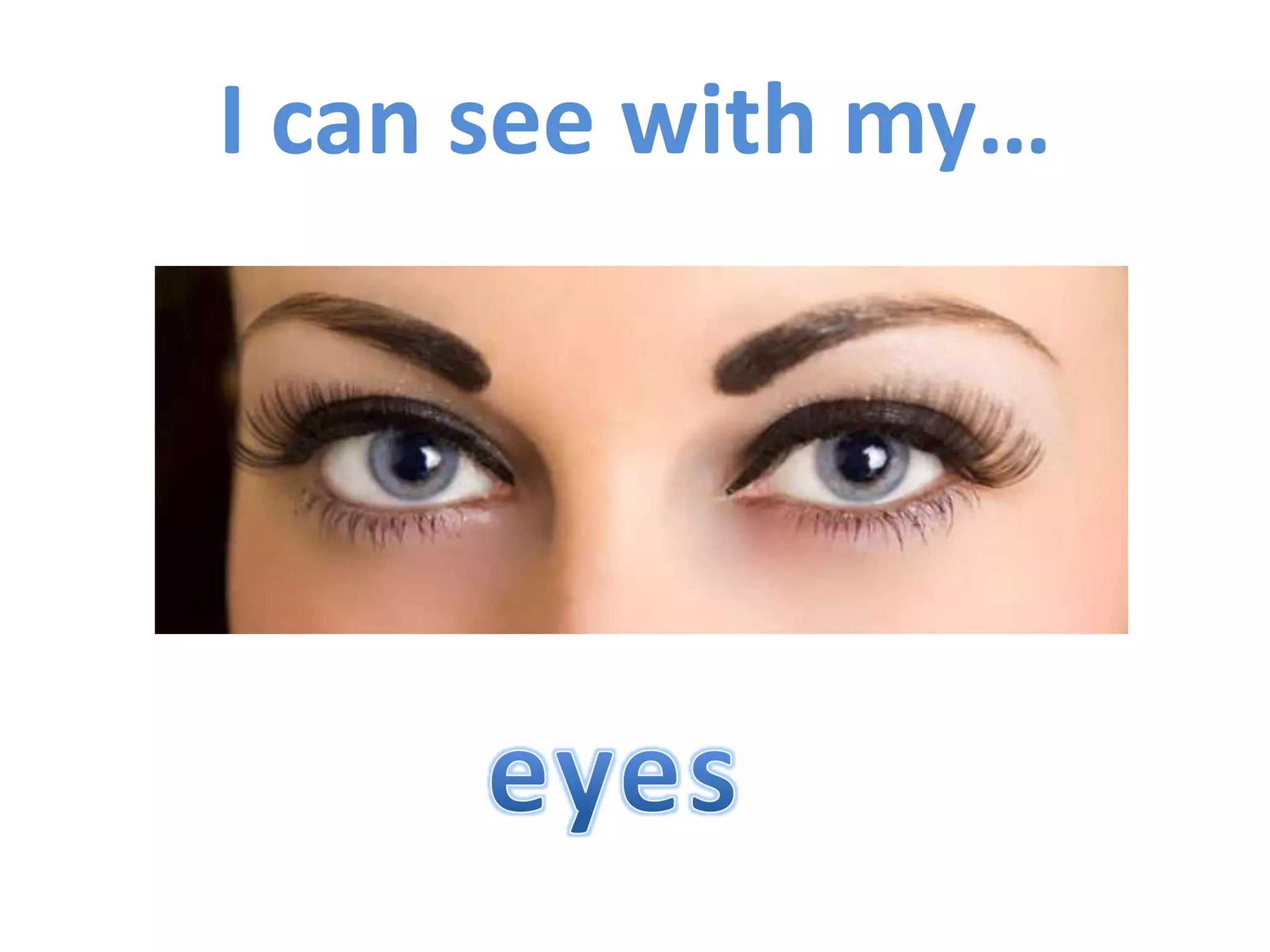 The five senses | PPSX | Brain and Nervous System Disorders | Diseases ...