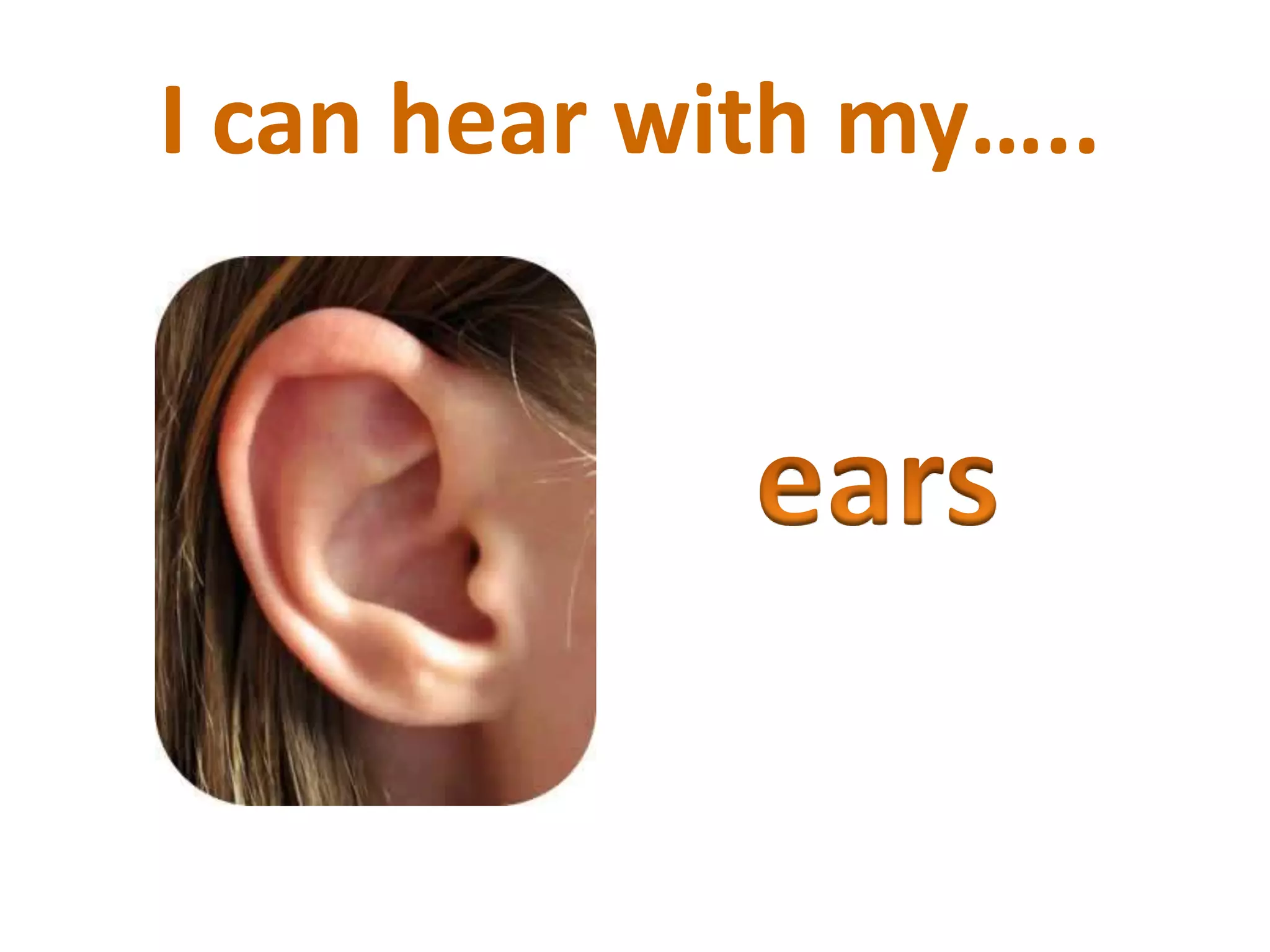 The five senses | PPSX | Brain and Nervous System Disorders | Diseases ...