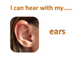 The five senses | PPSX | Brain and Nervous System Disorders | Diseases ...