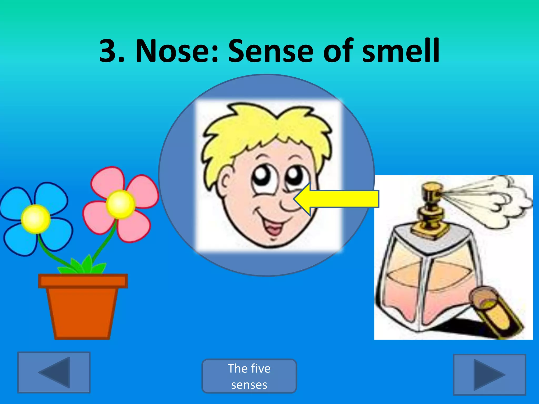 The Five Senses | PPTX