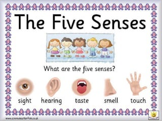 The five senses | PPT