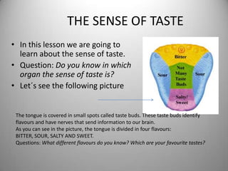 The five senses | PPTX