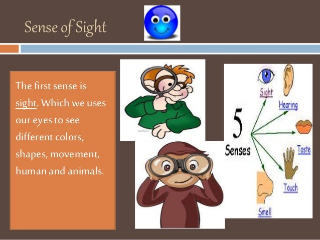 The five senses