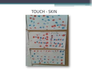 The five senses presentation | PPTX | Perfume and Fragrance | Beauty