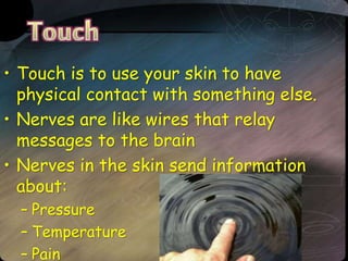 The Five Senses | PPTX