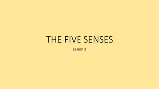 The five senses | PPT