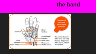 The five senses | PPTX