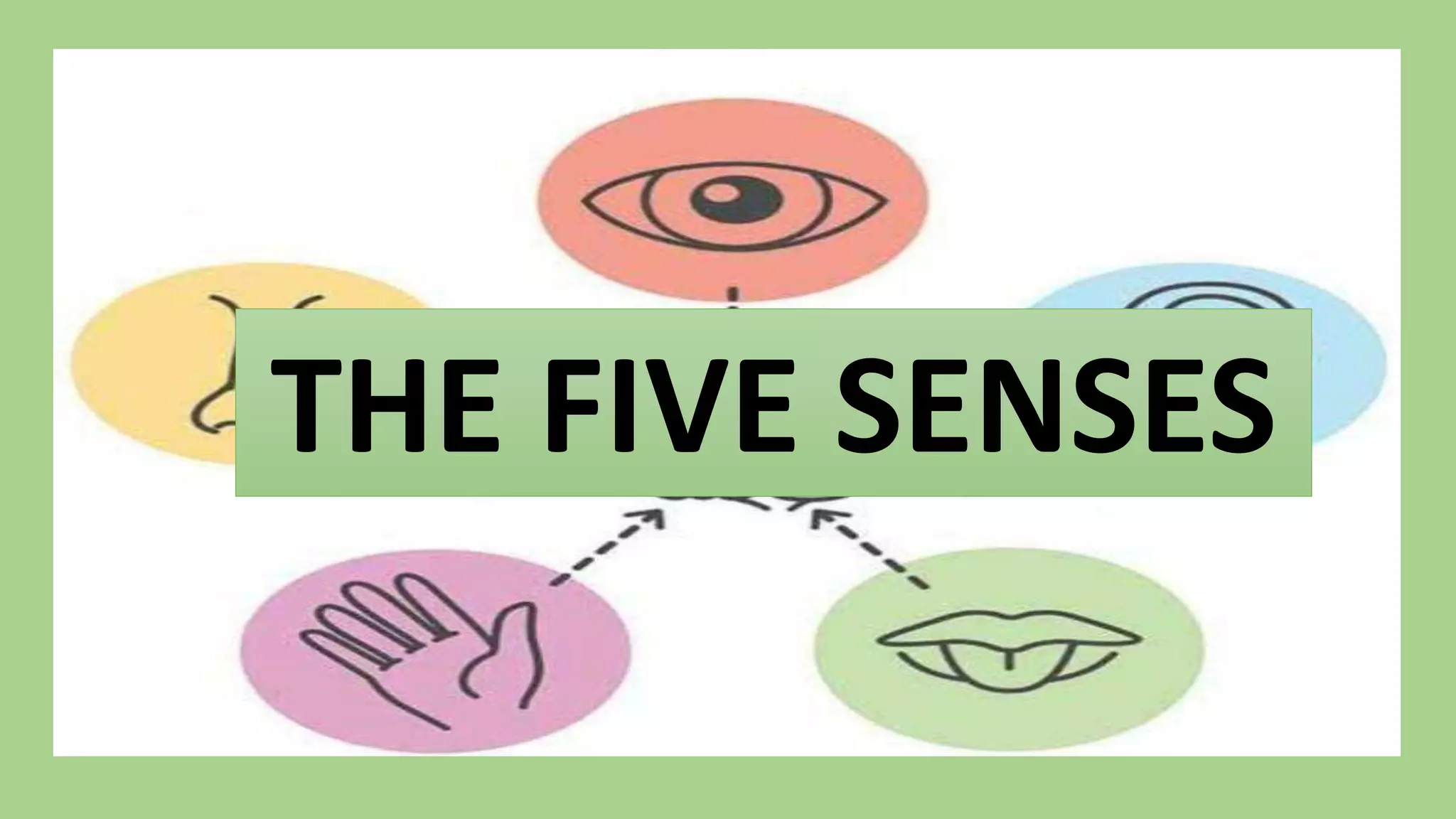 The Five Senses.pptx