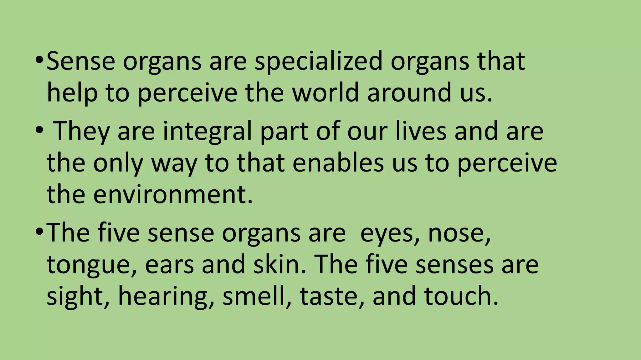The Five Senses.pptx