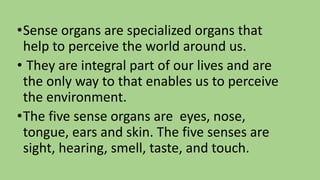 The Five Senses.pptx