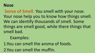 The Five Senses.pptx