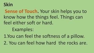 The Five Senses.pptx