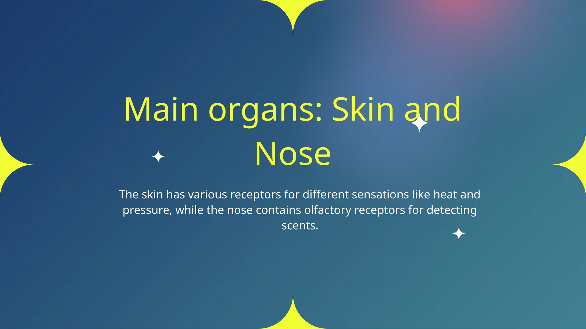 The Sense organs of the human body- presentation | PPTX
